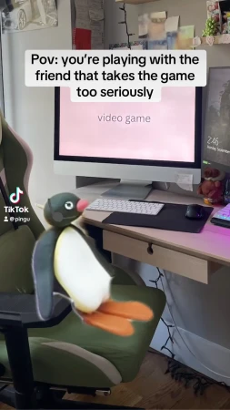 Pingu 2026, Gamer - Visie